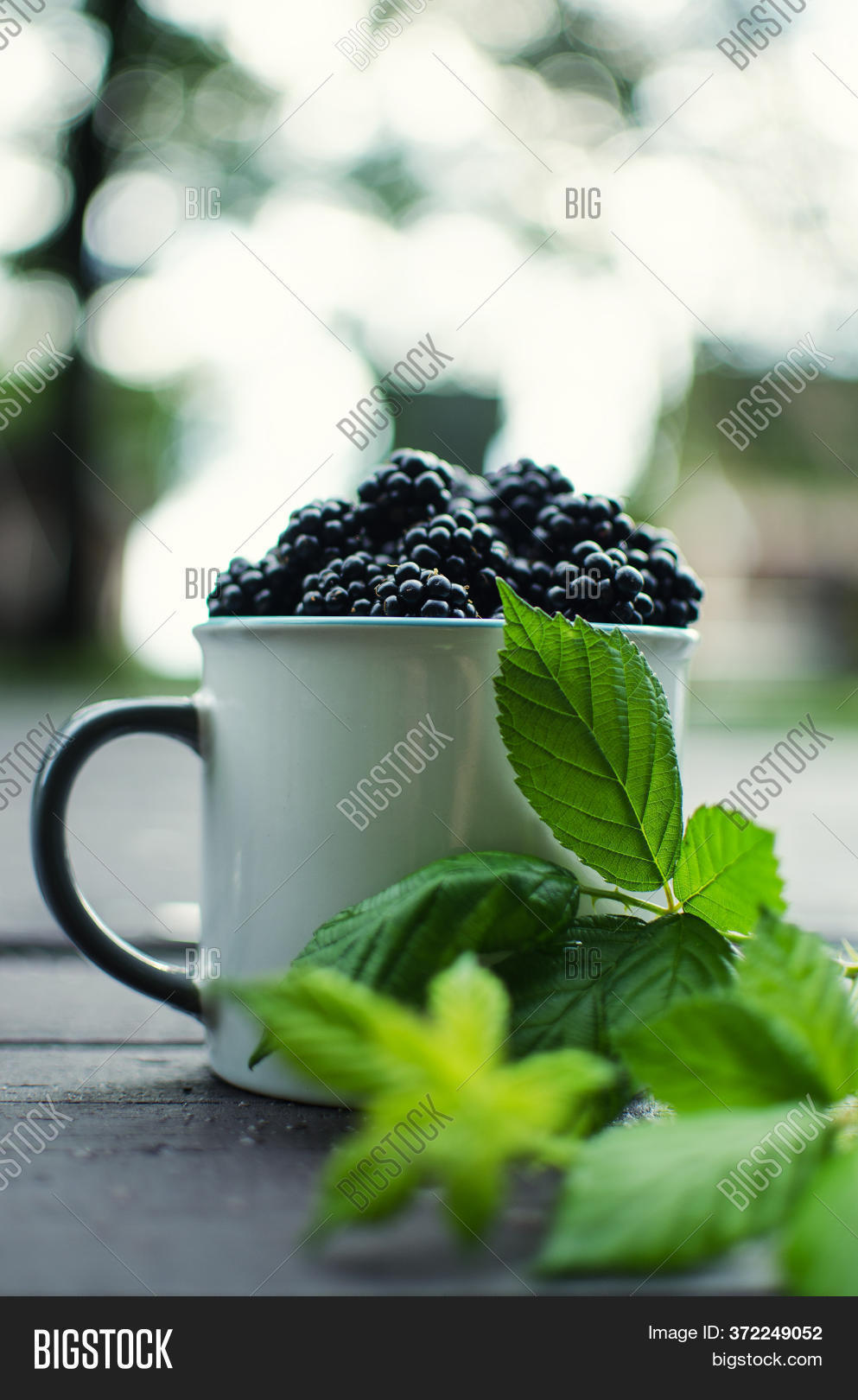 Raspberry Shrub 1-2 M Image & Photo (Free Trial) | Bigstock