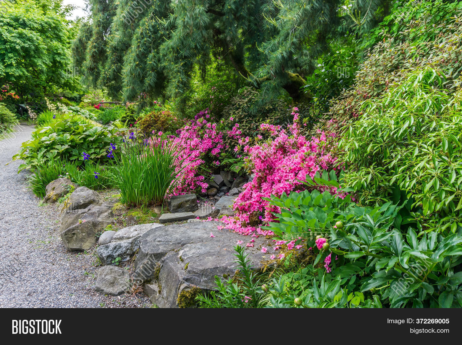 Rocky Garden Path Image & Photo (Free Trial) | Bigstock