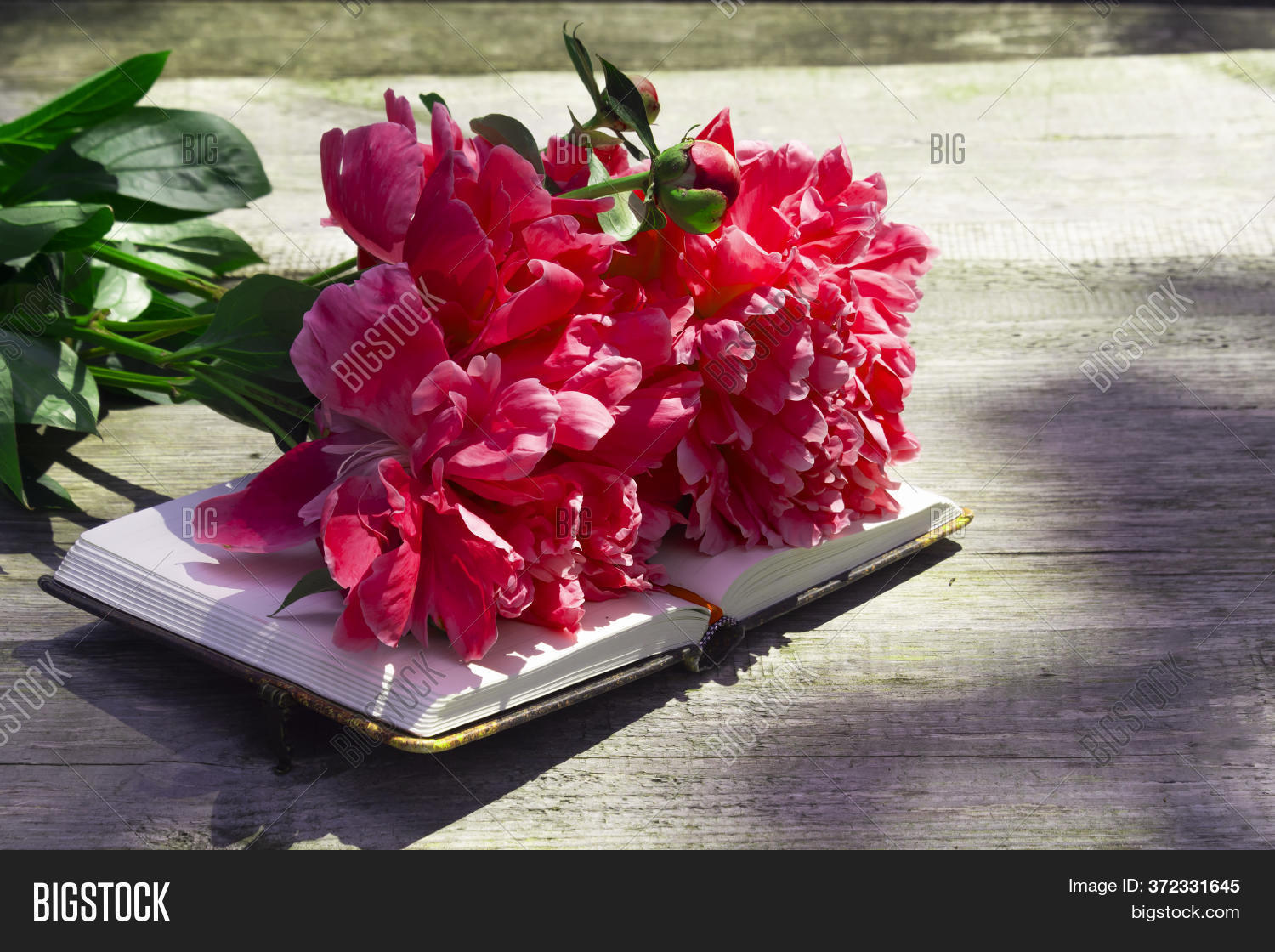 Open Diary Notebook Image & Photo (Free Trial) | Bigstock
