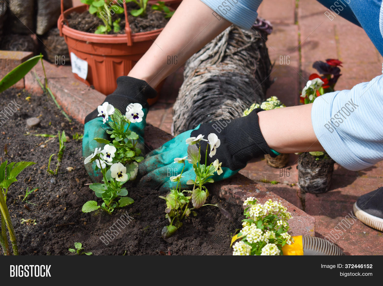 Work Garden. Image & Photo (Free Trial) | Bigstock