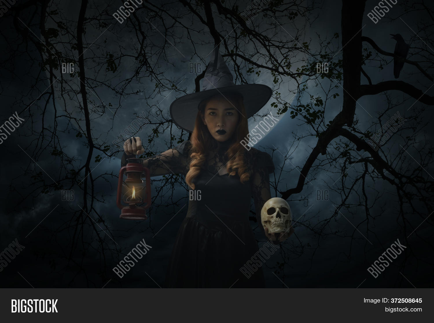 Halloween Witch Image & Photo (Free Trial) | Bigstock
