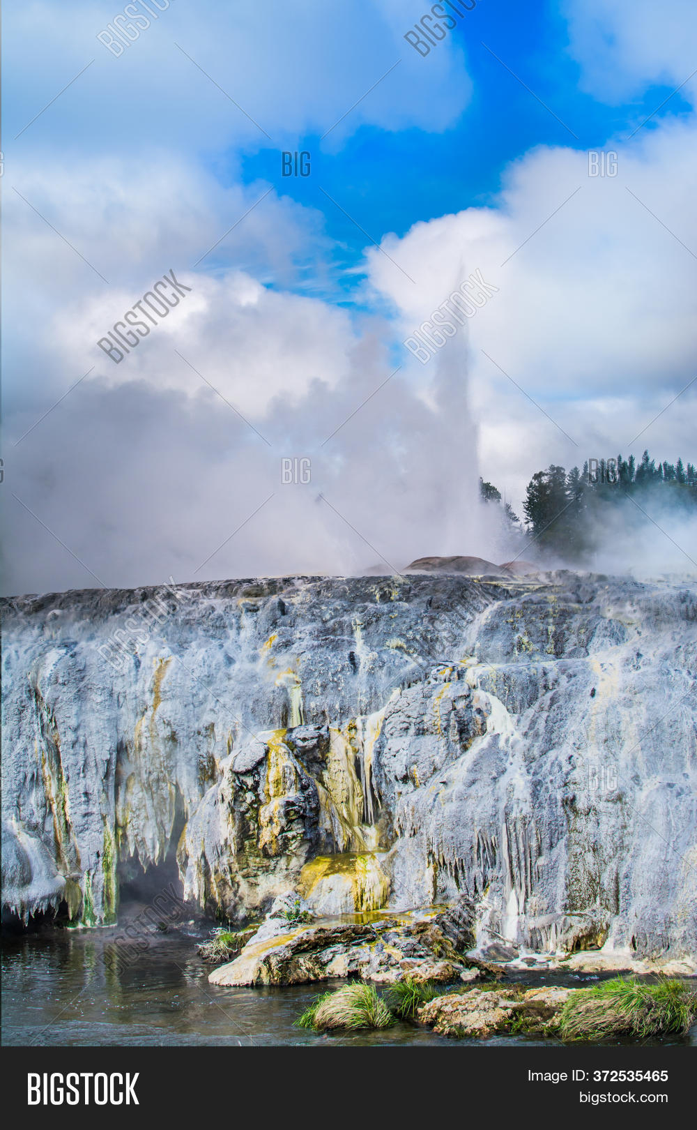 Active Geyser Erupting Image & Photo (Free Trial) | Bigstock