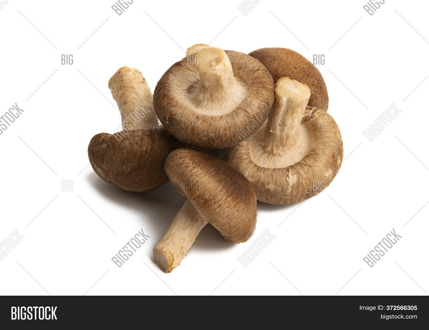 Shiitake Mushrooms Image & Photo (Free Trial) | Bigstock