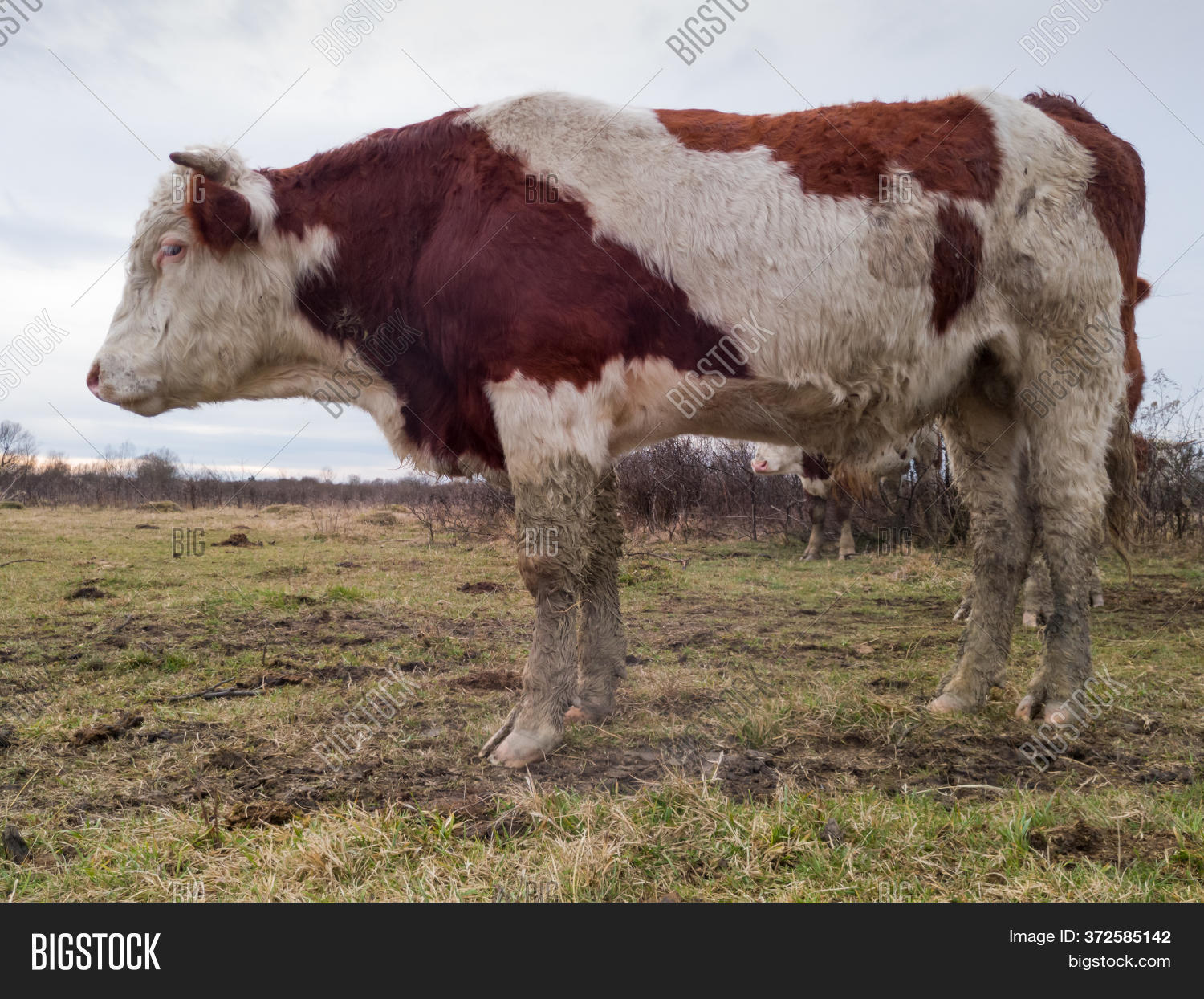Soil Erosion Image & Photo (Free Trial) | Bigstock