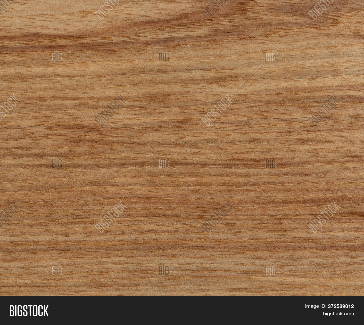 American Hickory Wood Image & Photo (Free Trial) | Bigstock