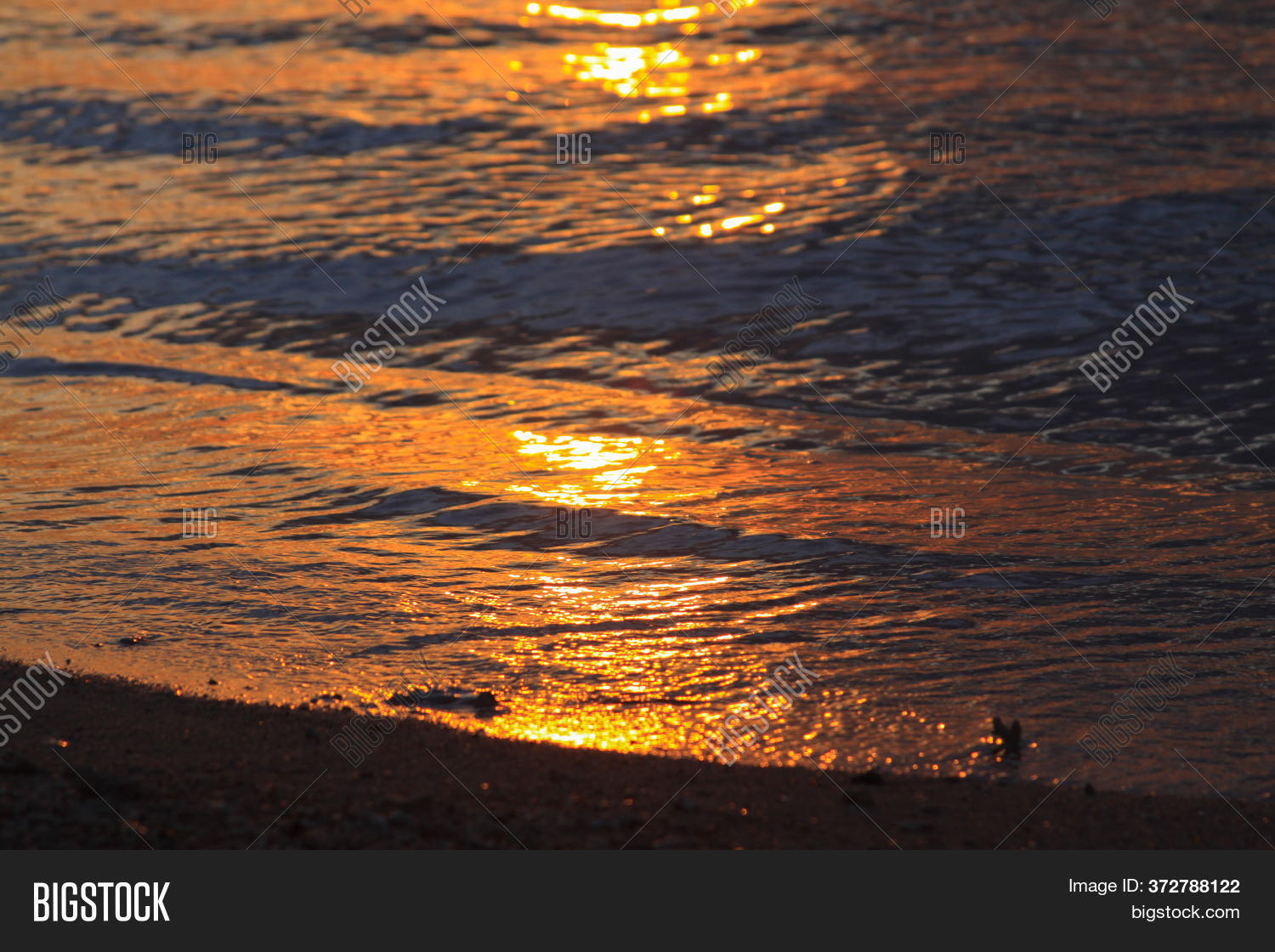 Sun Light Reflected Image & Photo (Free Trial) | Bigstock