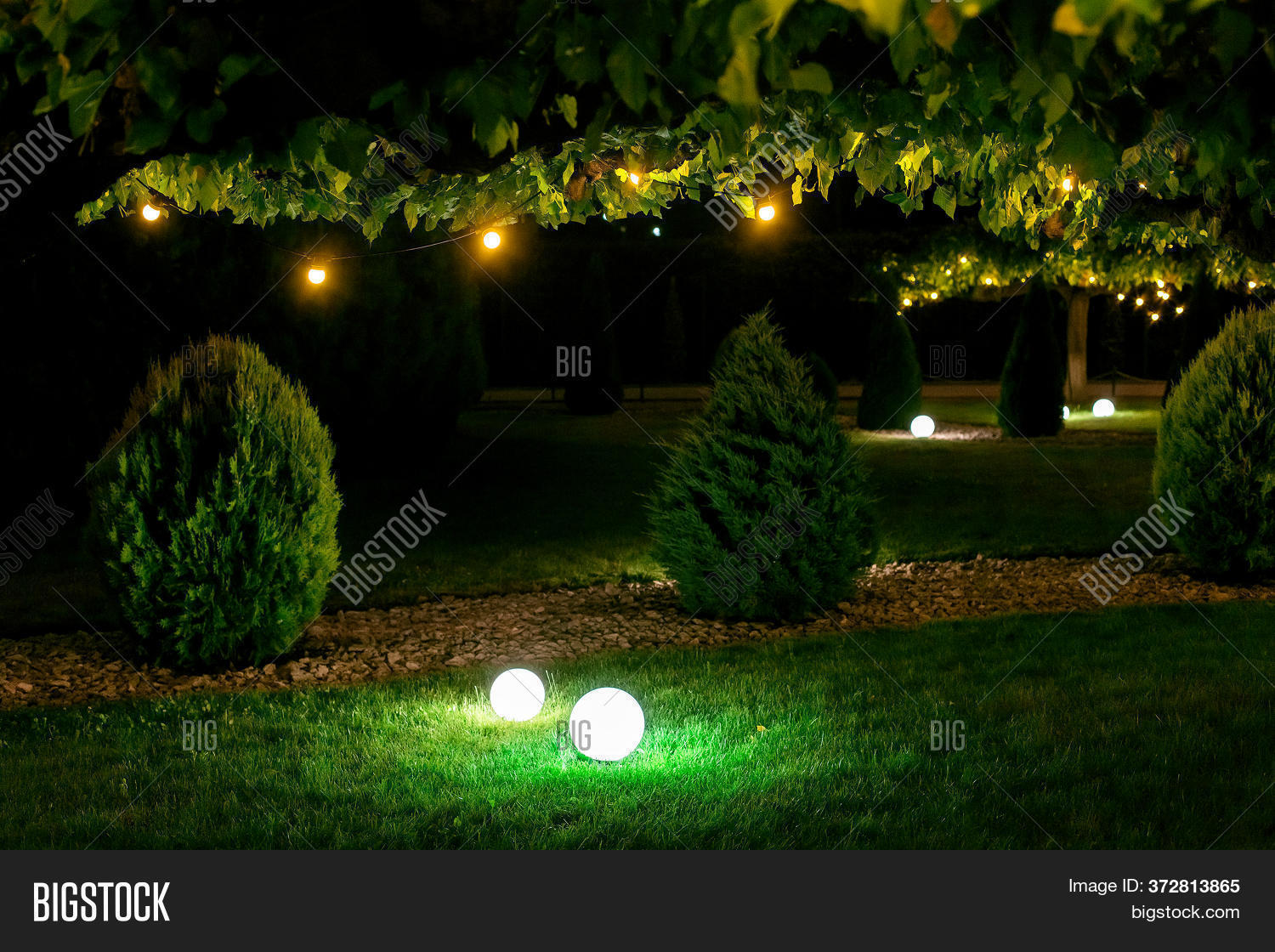 Illumination Backyard Image & Photo (Free Trial) | Bigstock