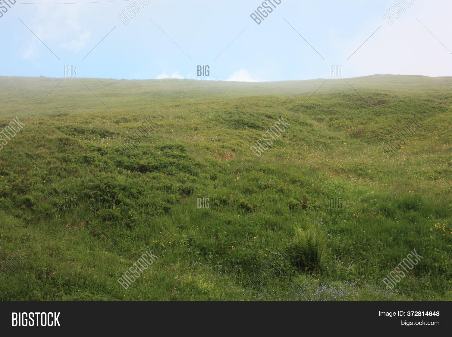 Panorama Hills On Image & Photo (Free Trial) | Bigstock
