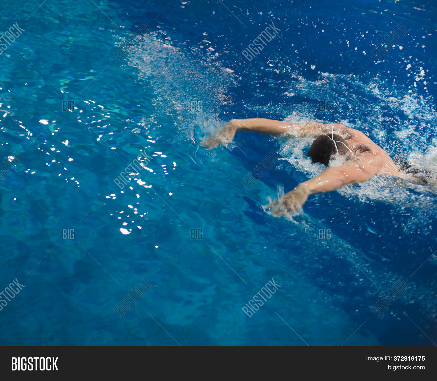 Male Swimmer Swimming Image & Photo (Free Trial) | Bigstock