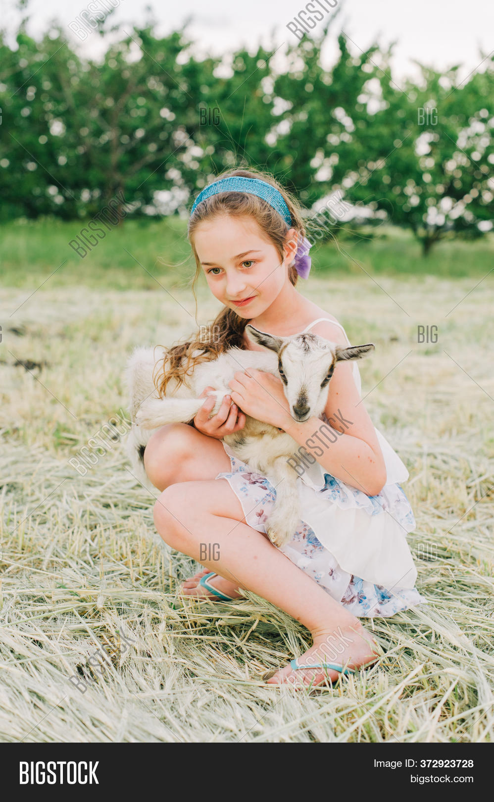 Girl Baby Goat On Farm Image & Photo (Free Trial) | Bigstock