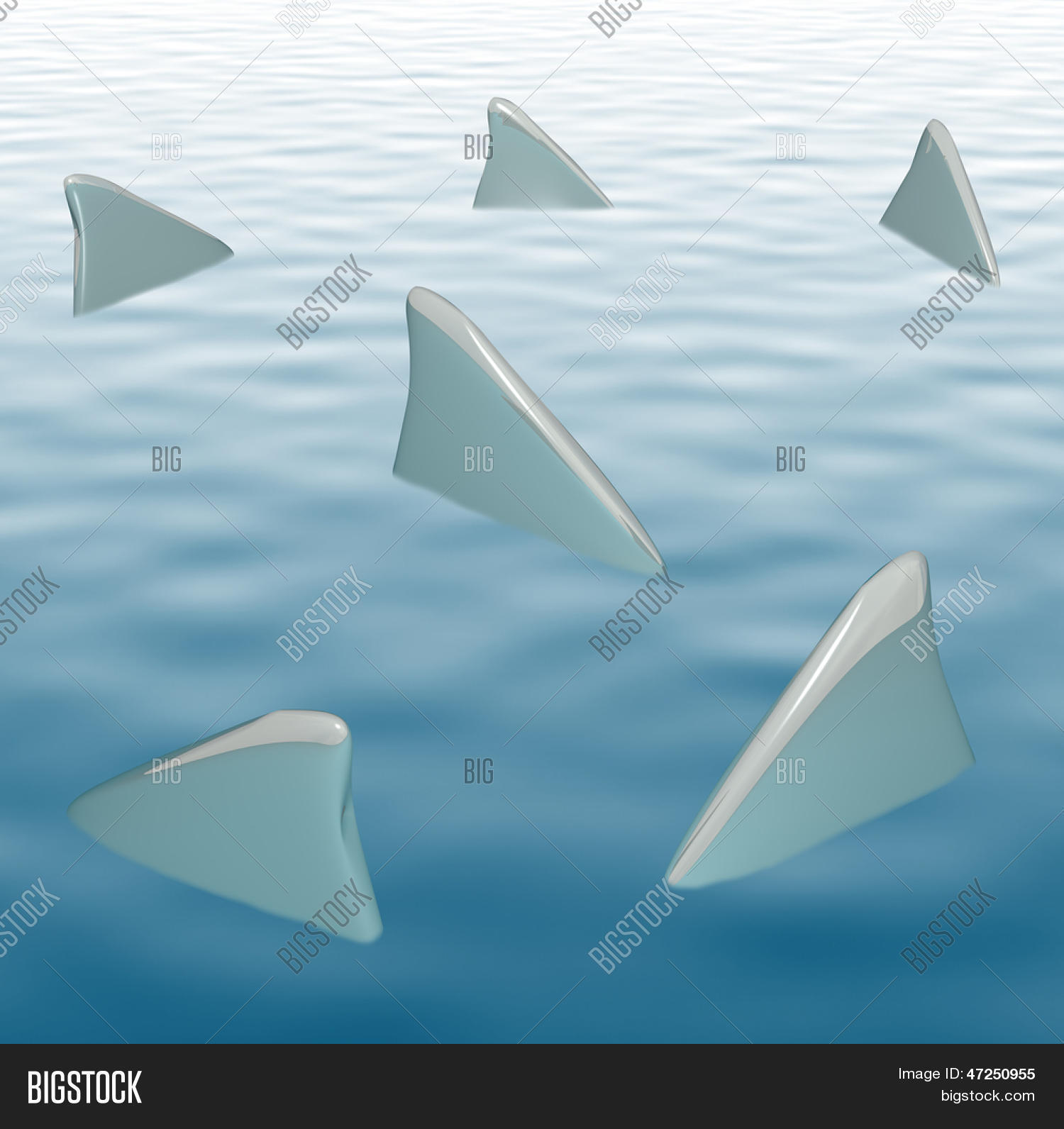 Several Shark Fins Image & Photo (Free Trial) | Bigstock
