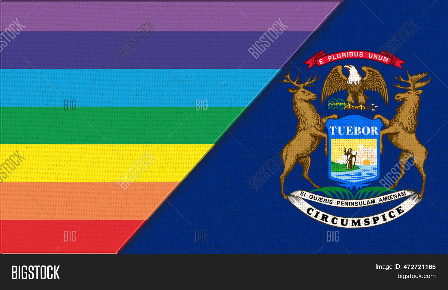 Flags Michigan Lgbt. Image & Photo (Free Trial) | Bigstock