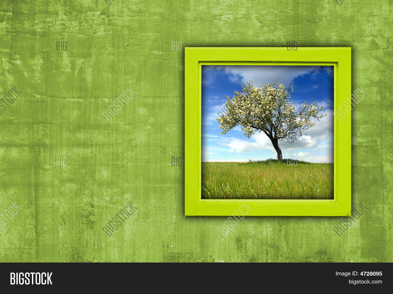 Window Spring Image & Photo (Free Trial) | Bigstock