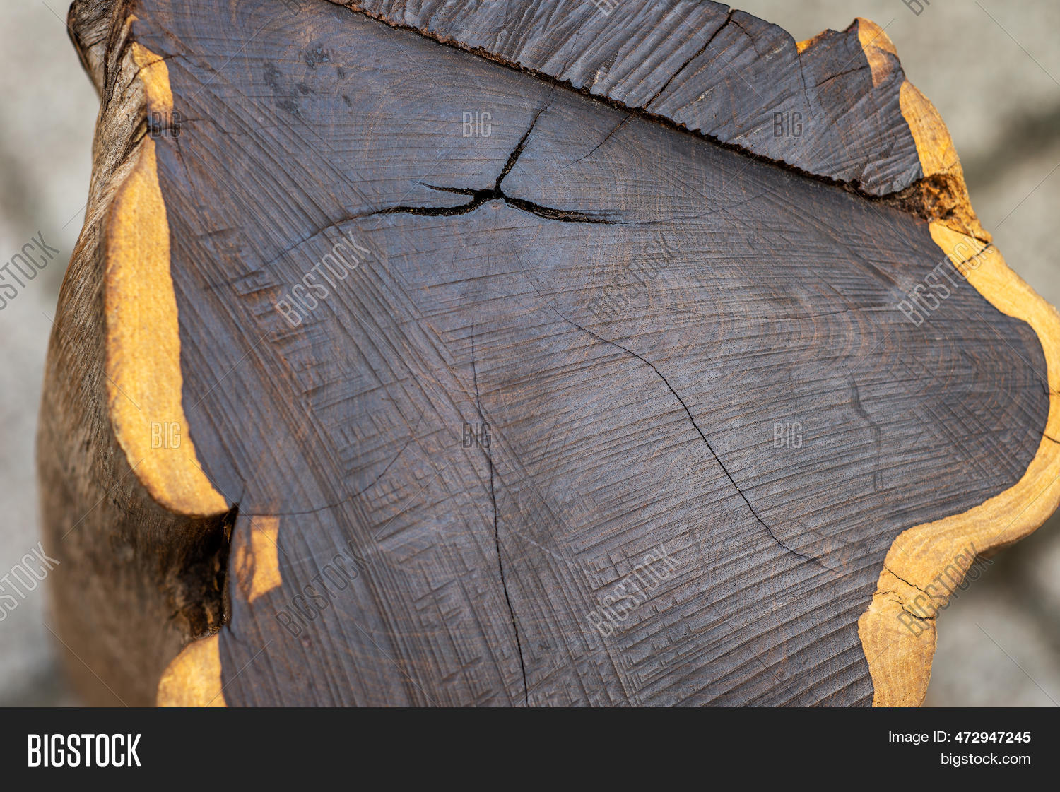 Black Ebony Tree Cross Image & Photo (Free Trial) | Bigstock