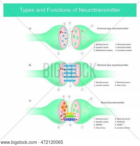Types Functions Vector & Photo (Free Trial) | Bigstock