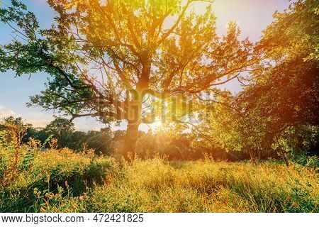 Low Angle View Image & Photo (Free Trial) | Bigstock