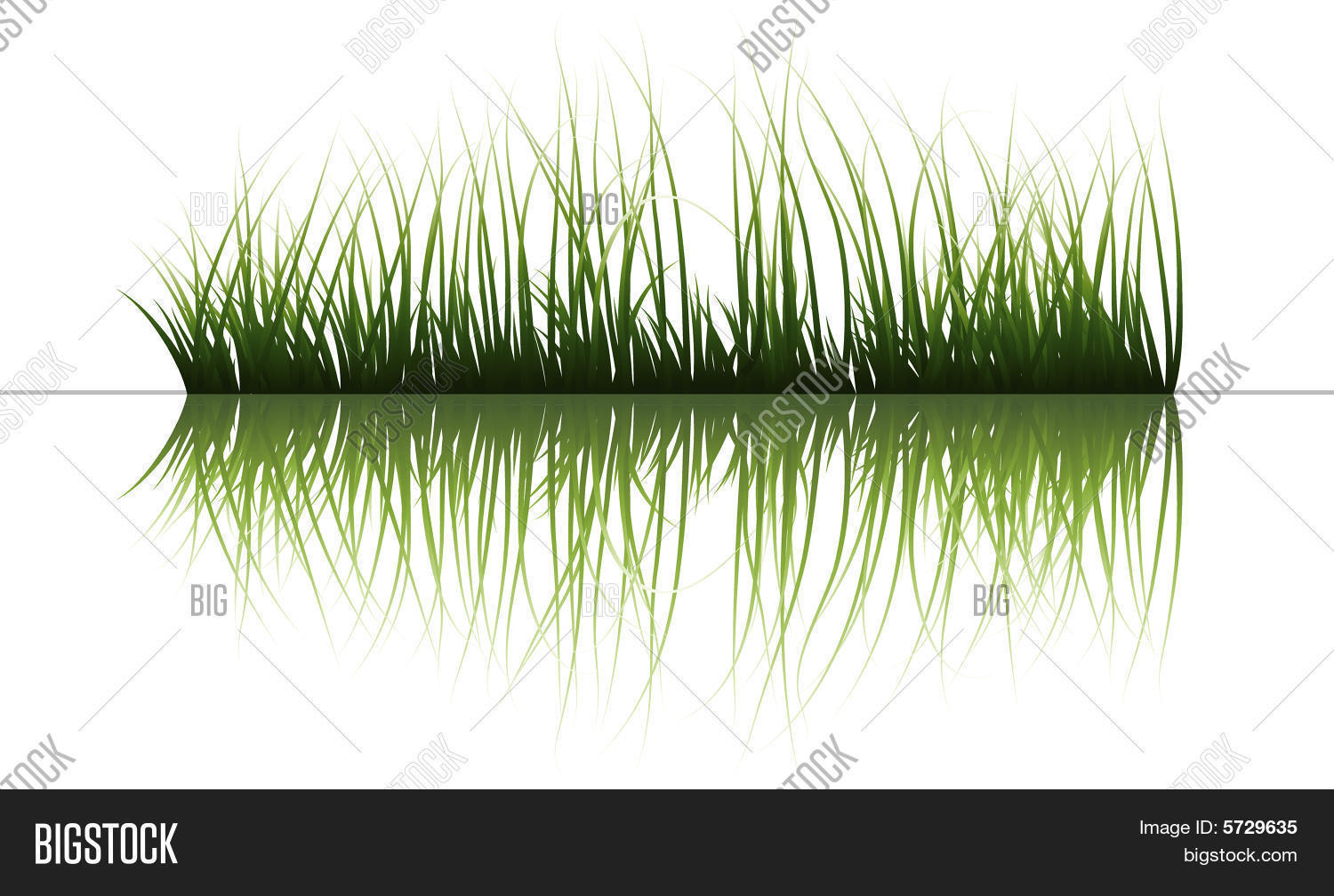 Water Grass Vector & Photo (Free Trial) | Bigstock