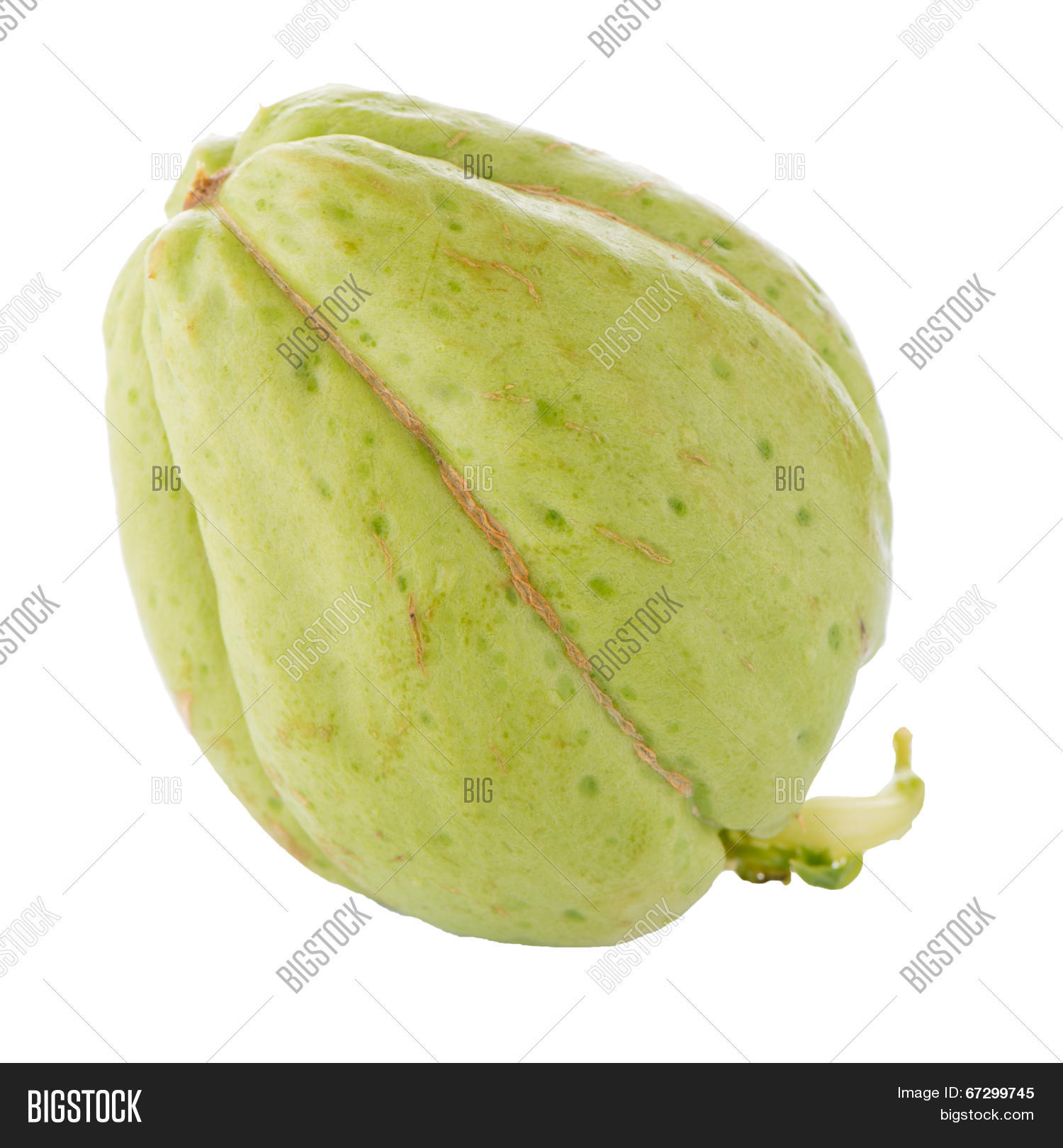 Chayote Image & Photo (Free Trial) | Bigstock