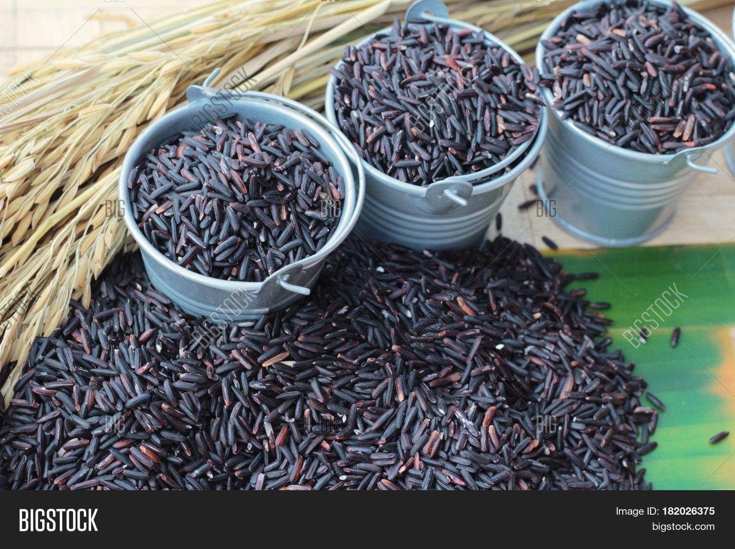 Black Jasmine Rice Image & Photo (Free Trial) | Bigstock