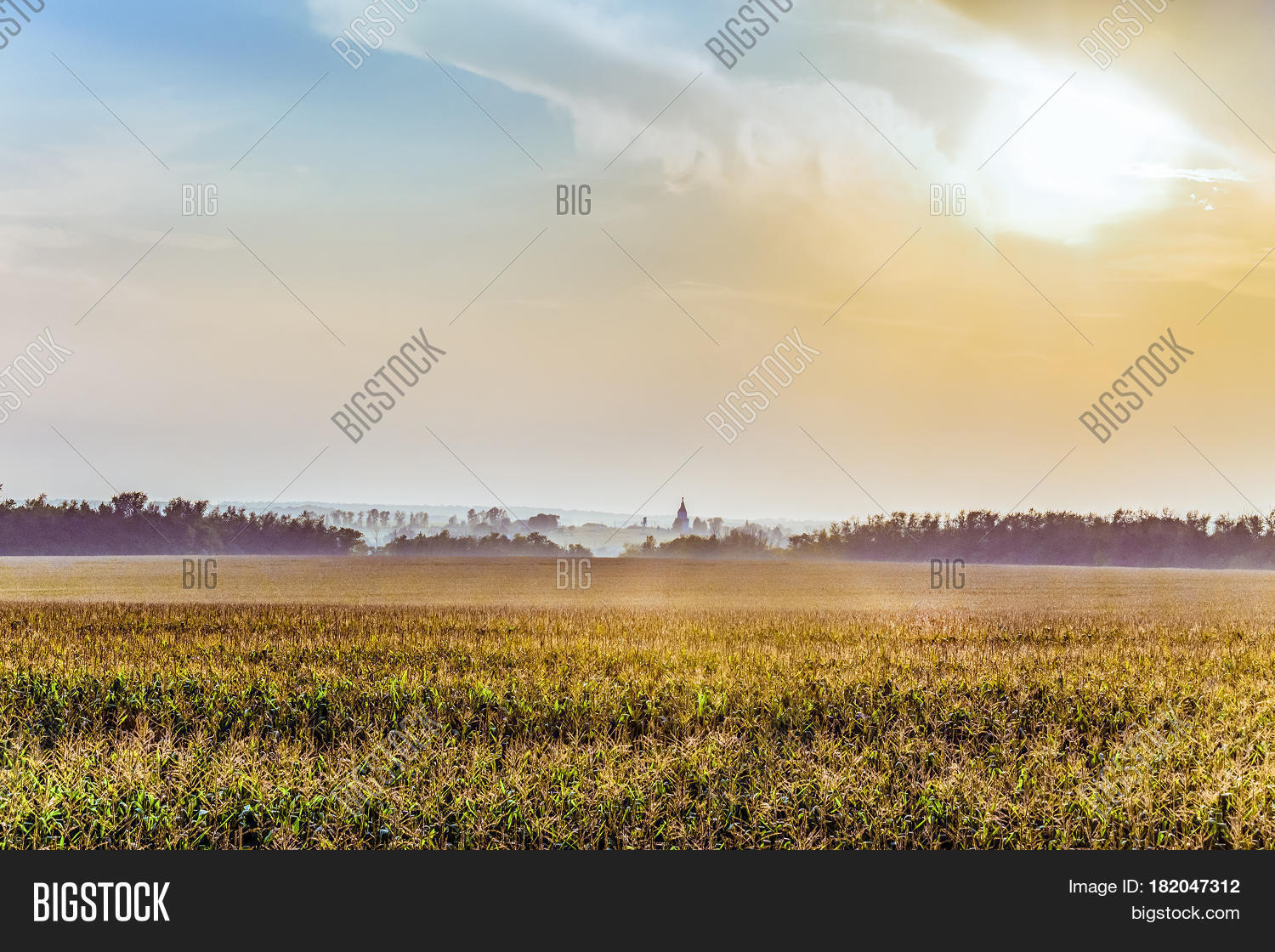 Sunny Evening Rural Image & Photo (Free Trial) | Bigstock