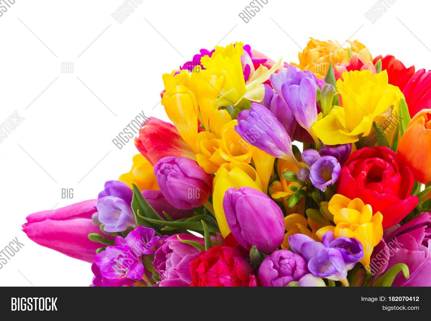 Bunch Bright Flowers Image & Photo (Free Trial) | Bigstock