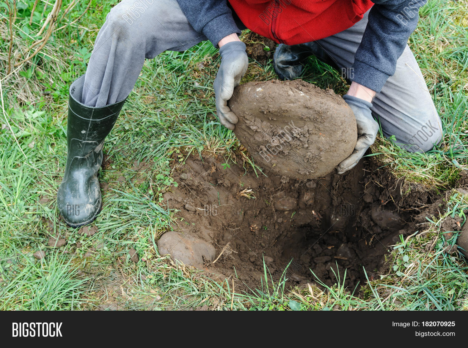 Man Digging Pit Plant Image & Photo (Free Trial) | Bigstock