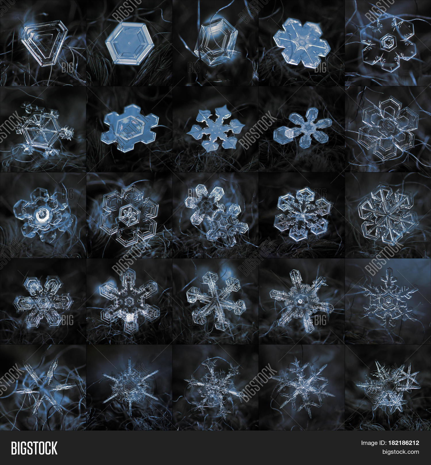 Real Snowflake Background