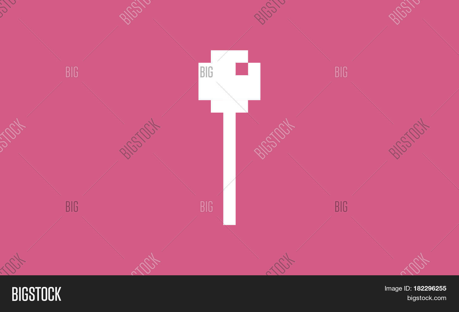 Pixel Key Icon Sign Image & Photo (Free Trial) | Bigstock