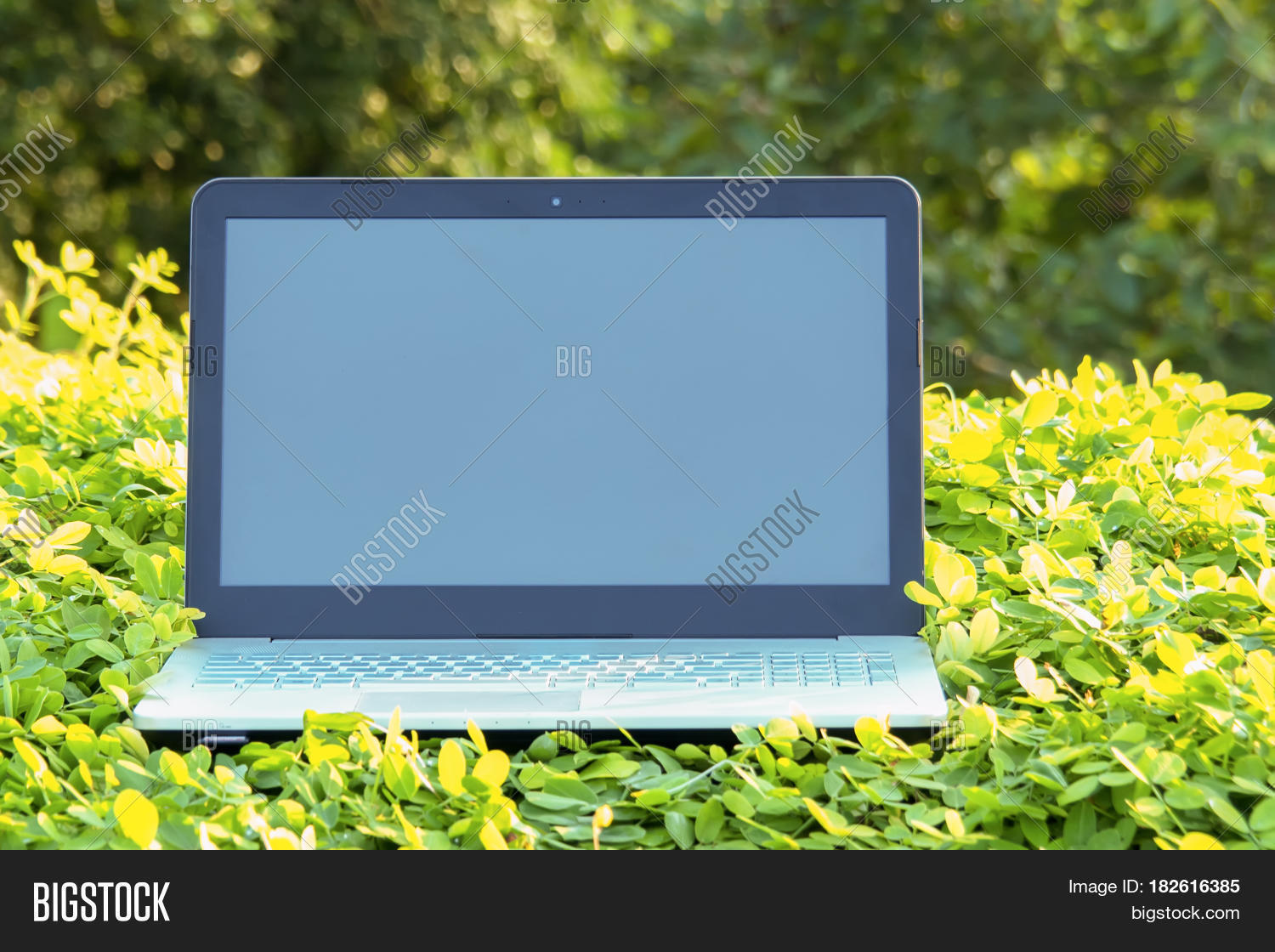 Business Computer Image & Photo (Free Trial) | Bigstock