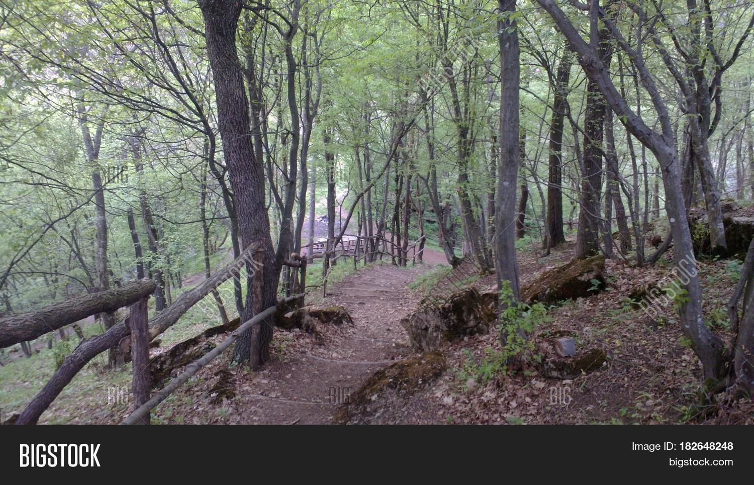 Unbeatable Image & Photo (Free Trial) | Bigstock