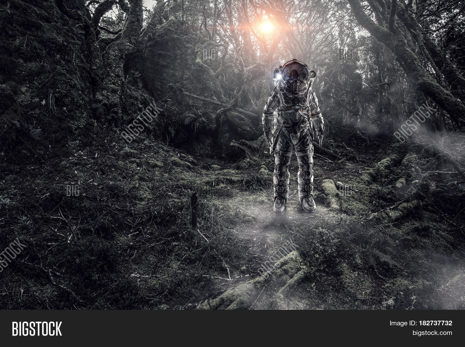 Astronaut Forest . Image & Photo (Free Trial) | Bigstock