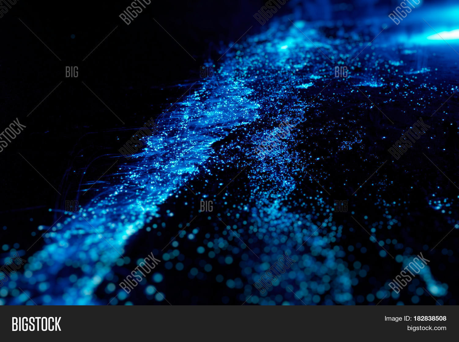 Bio Luminescence. Image & Photo (Free Trial) | Bigstock