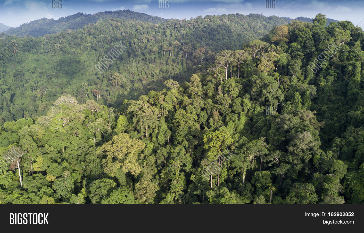 Rainforest. Aerial Image & Photo (Free Trial) | Bigstock