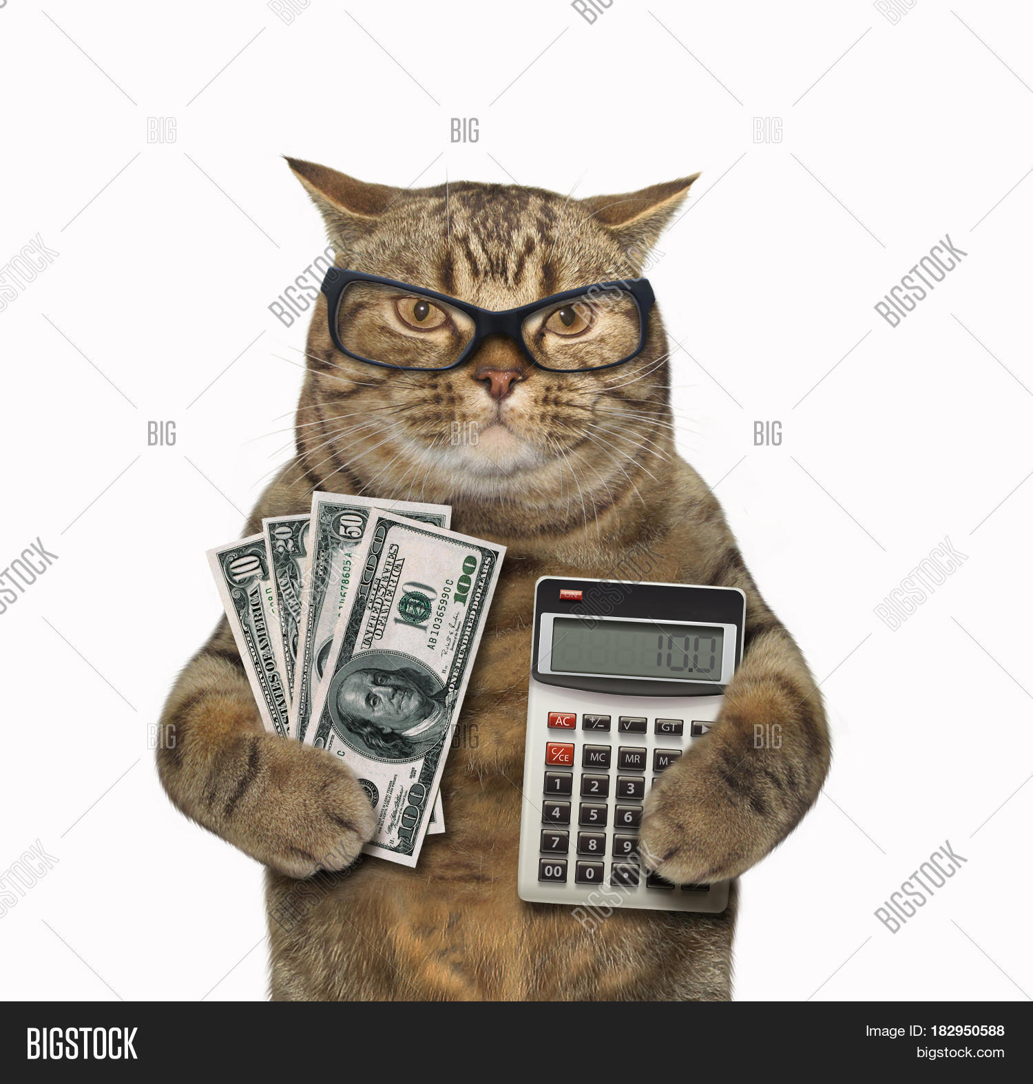 Cat Banker Holding Image & Photo (Free Trial) | Bigstock