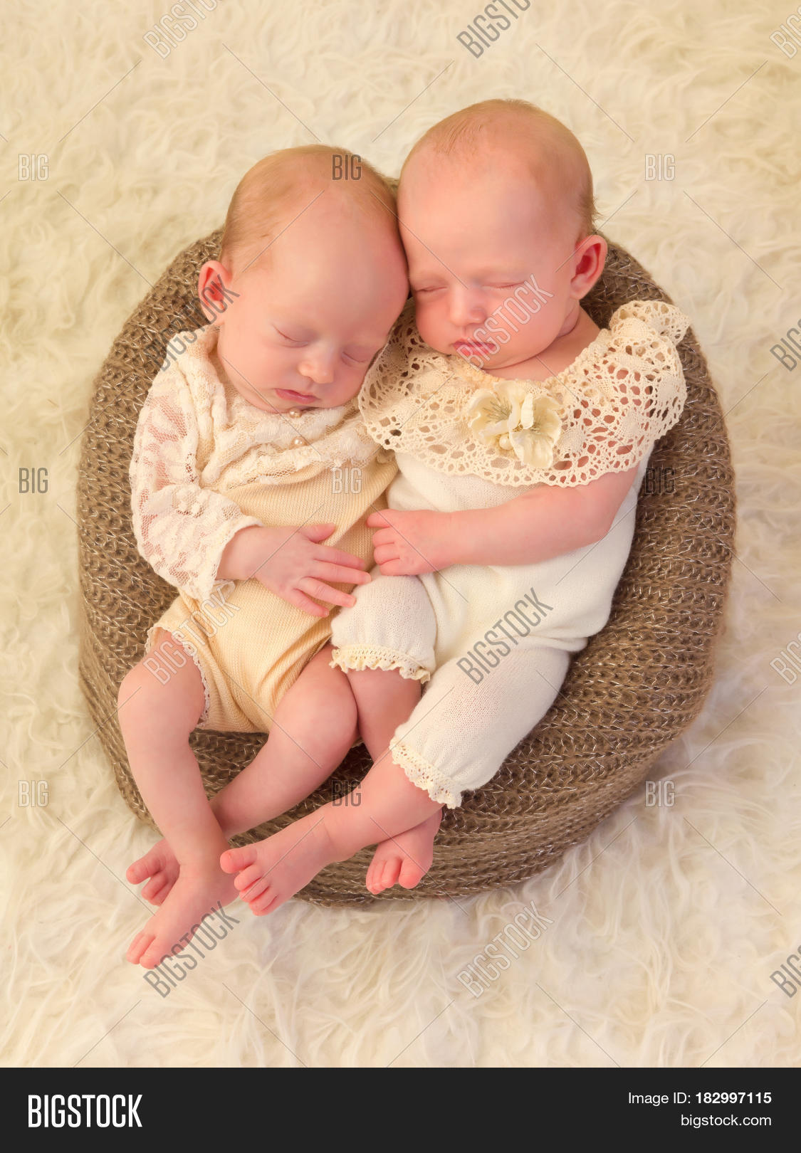 Three Weeks Old Image & Photo (Free Trial) | Bigstock