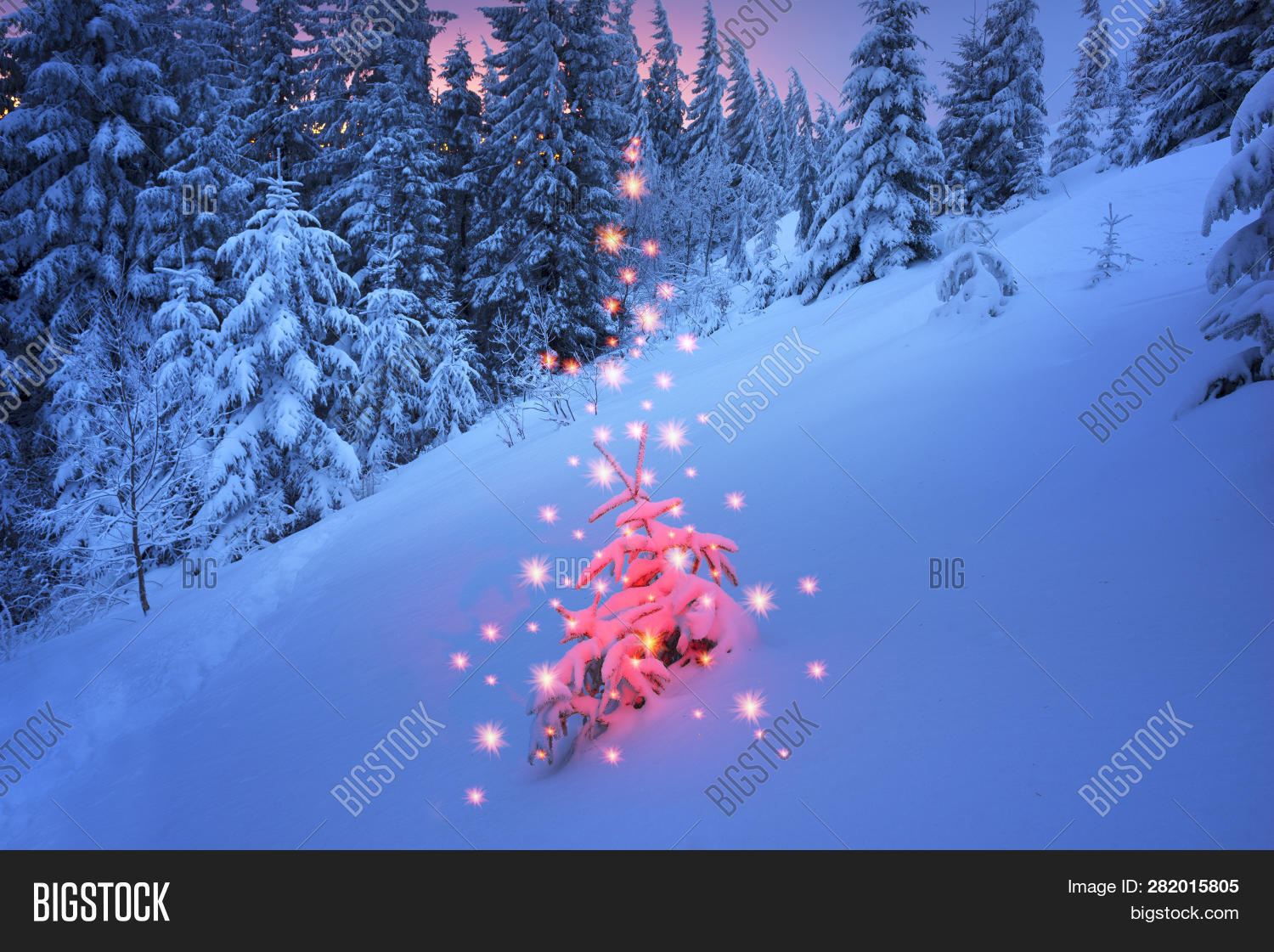 Magic Tree On Image & Photo (Free Trial) | Bigstock