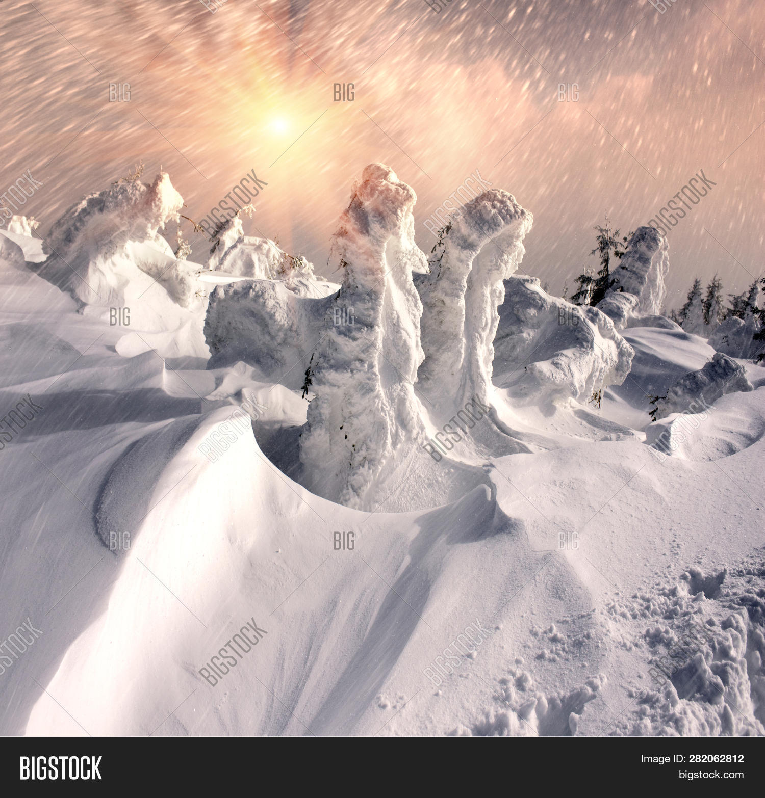 High Mountain Forest Image & Photo (Free Trial) | Bigstock