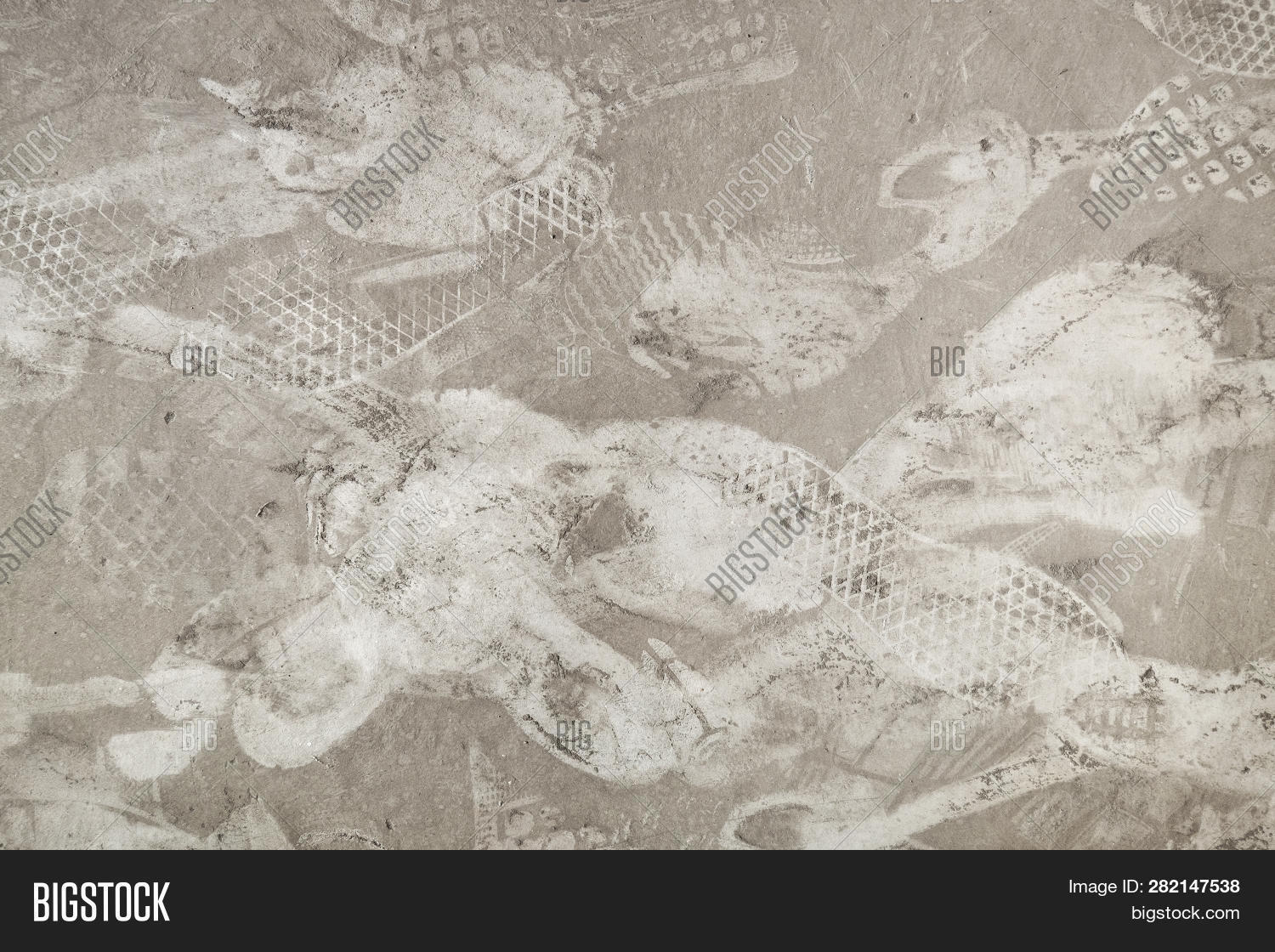 Various Footprints On Image & Photo (Free Trial) | Bigstock