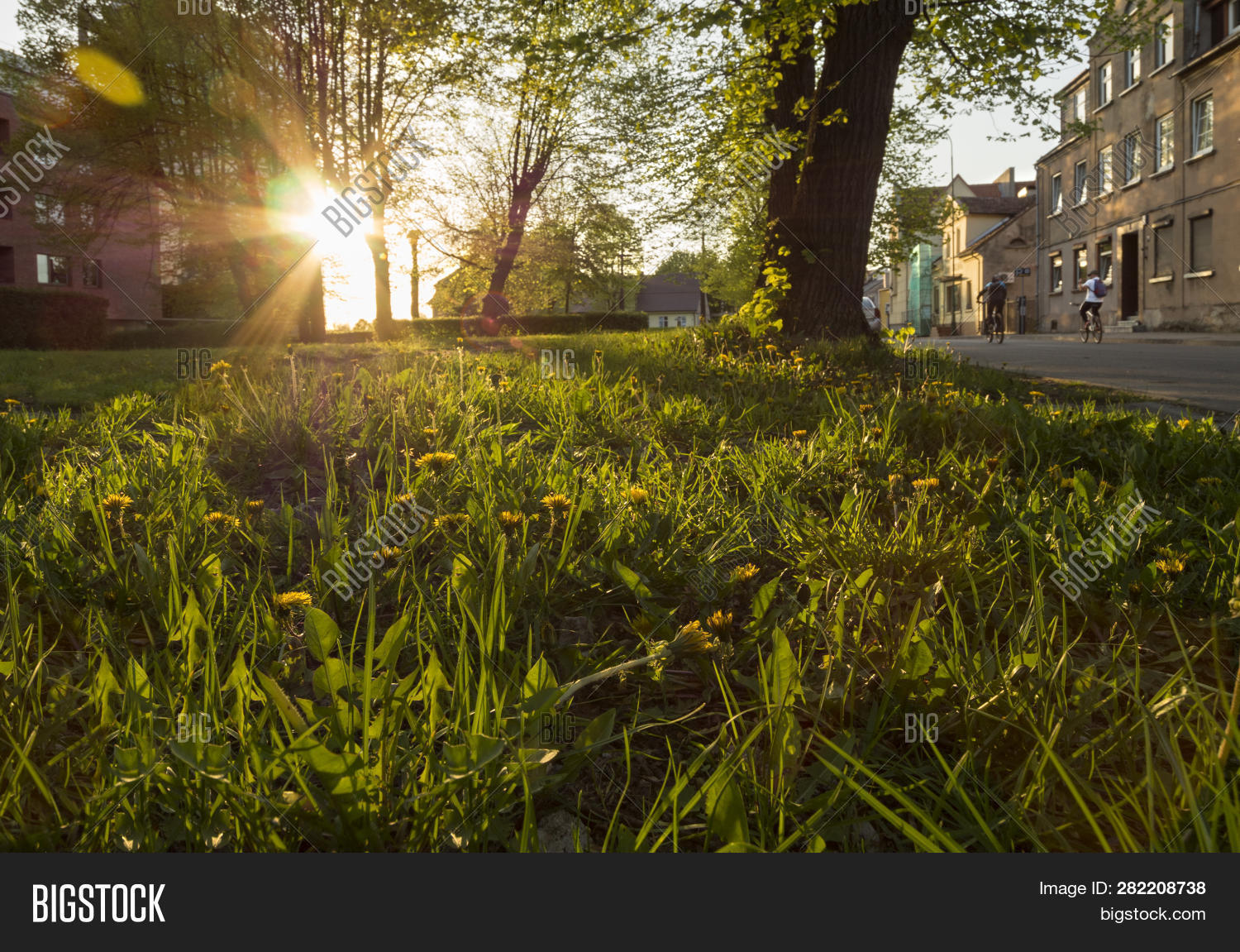 Rays Spring Sunset Image & Photo (Free Trial) | Bigstock
