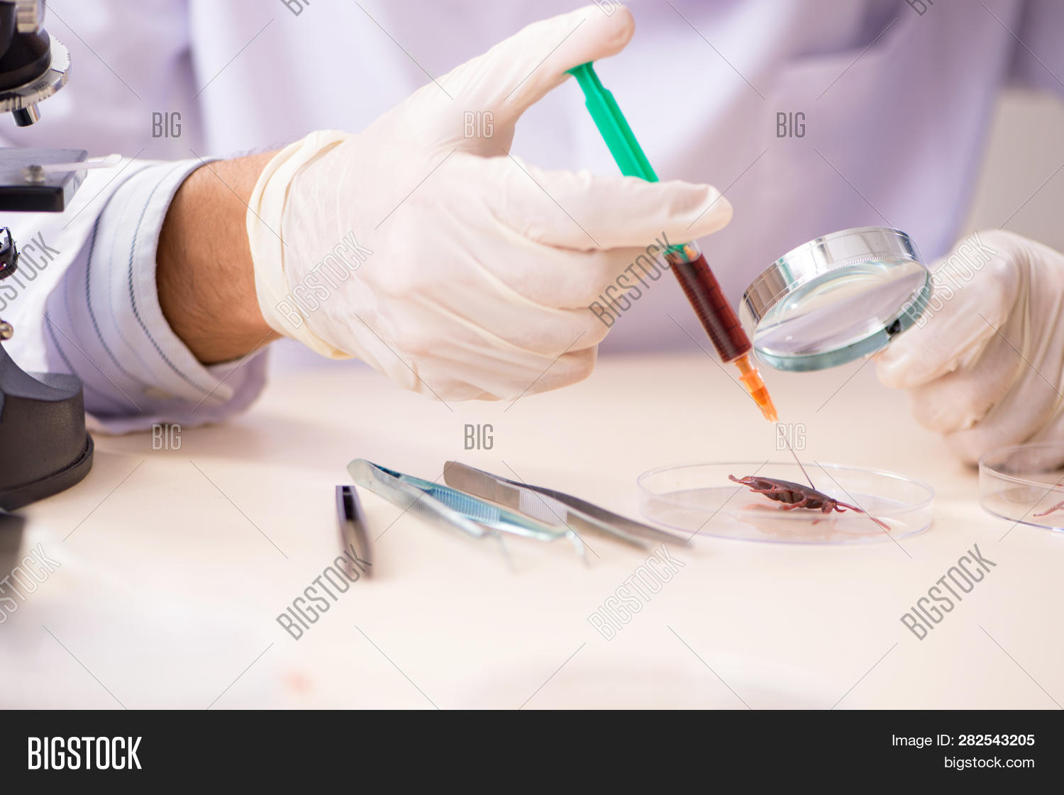 Male Entomologist Image & Photo (Free Trial) | Bigstock