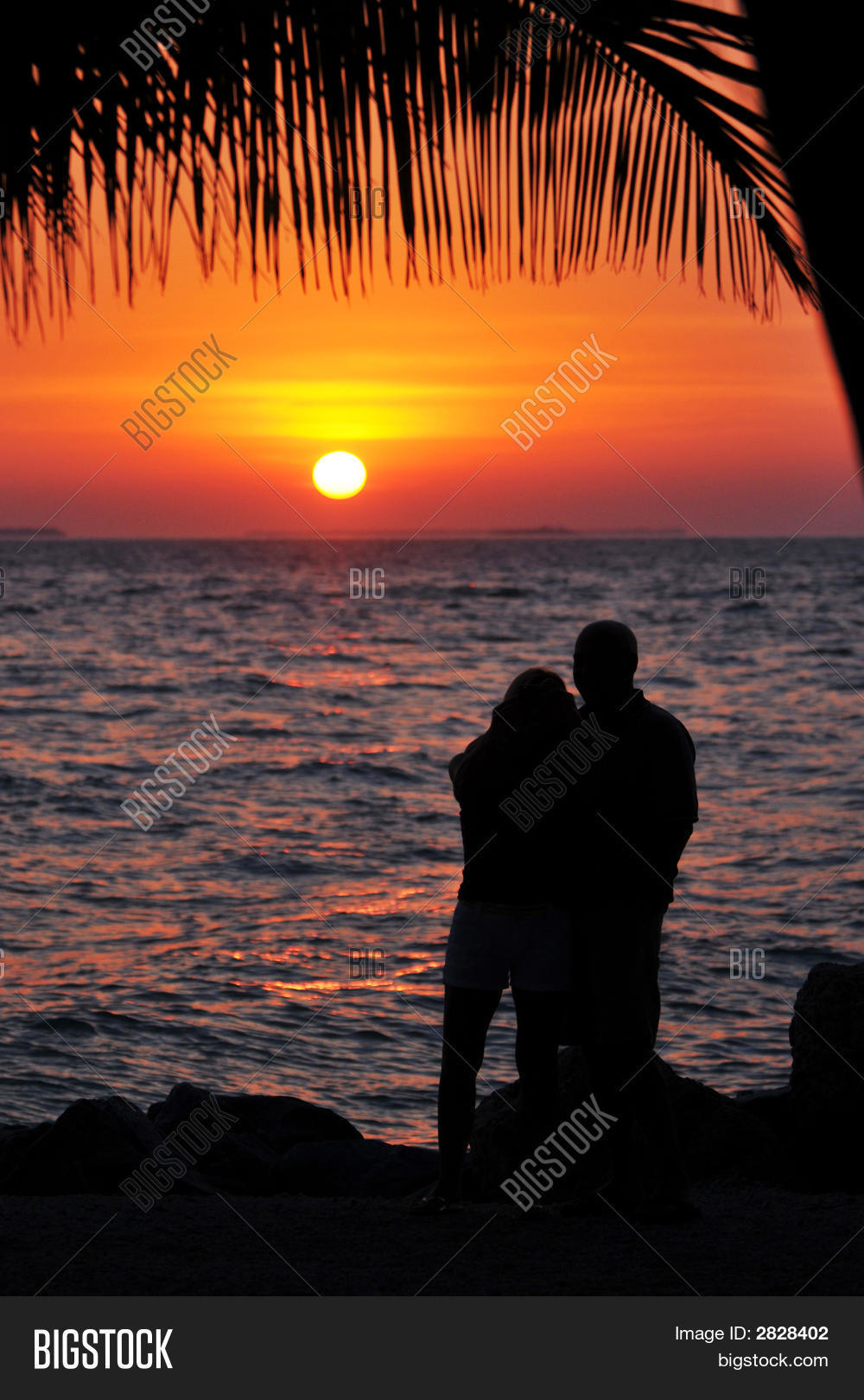 Romantic Sunset Pictures