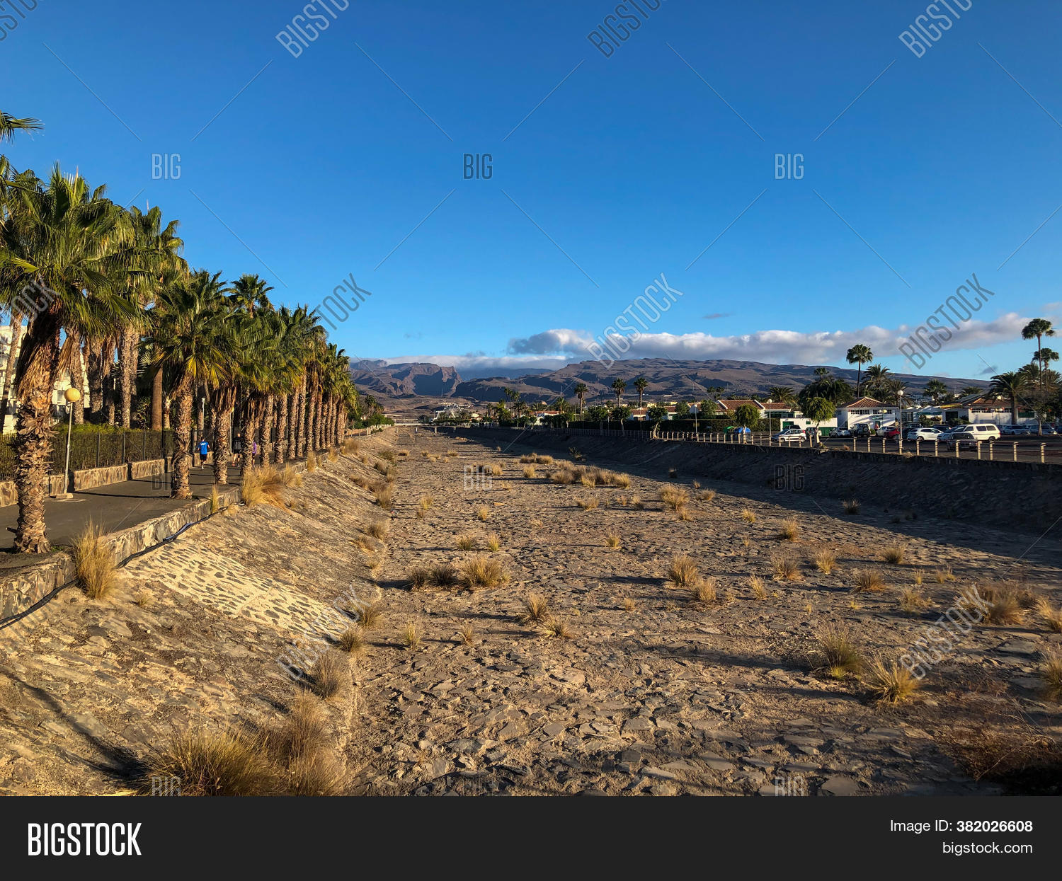 Empty River Through Image & Photo (Free Trial) | Bigstock