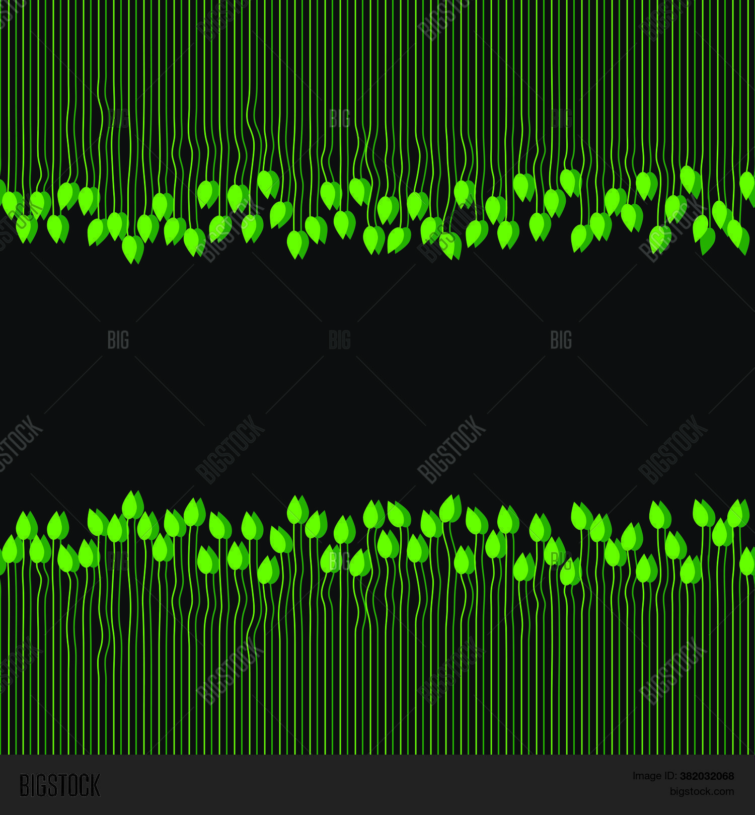Young Green Leaves. Vector & Photo (Free Trial) | Bigstock