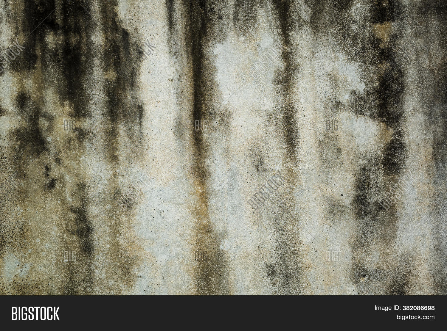 Mildewed Wall Image & Photo (Free Trial) | Bigstock