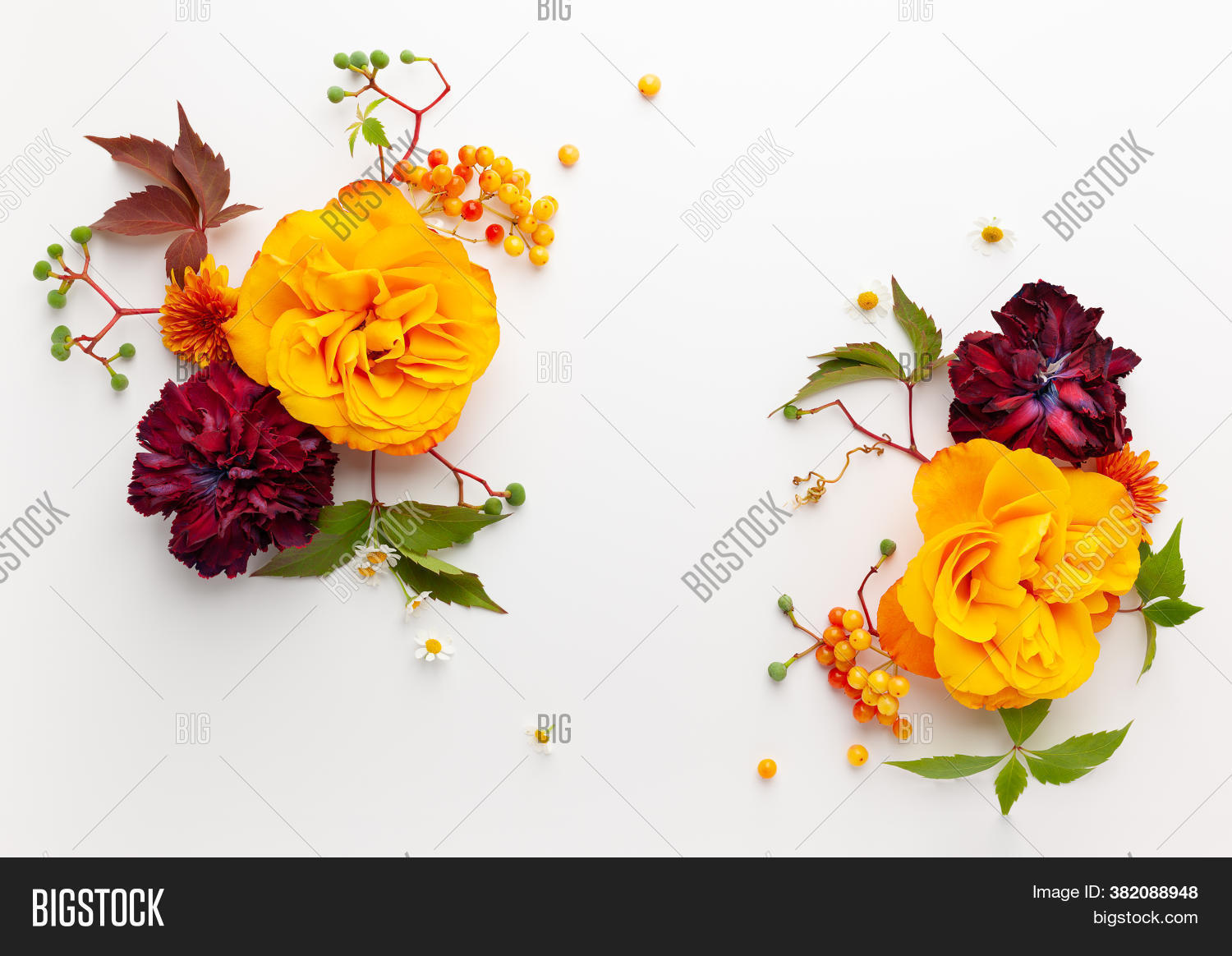 Autumn Composition Image & Photo (Free Trial) | Bigstock