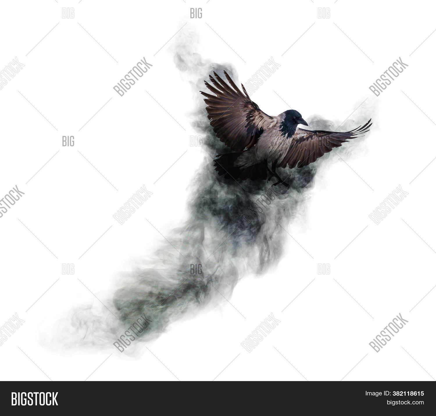 Grey Crow Flying Smoke Image & Photo (Free Trial) | Bigstock