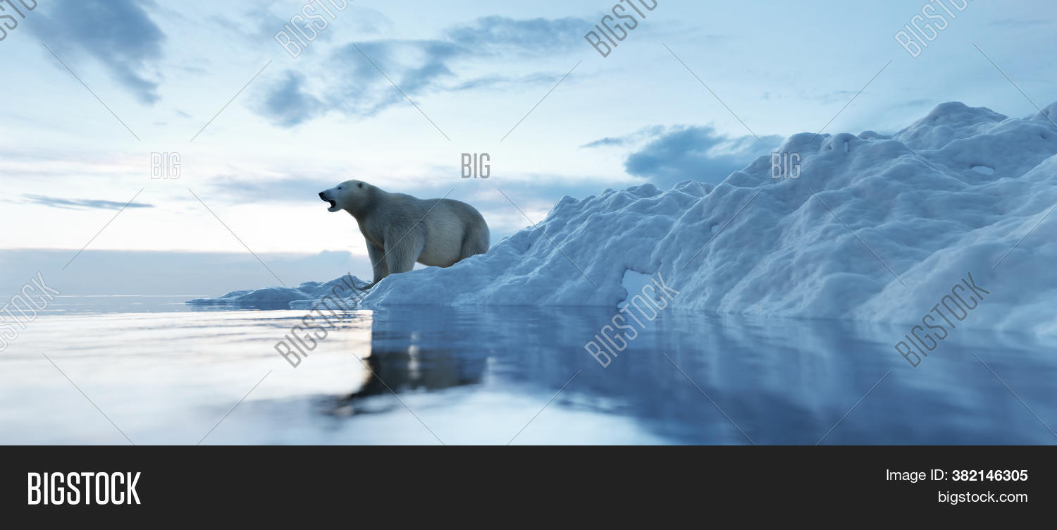 Polar Bear On Iceberg Image & Photo (Free Trial) | Bigstock