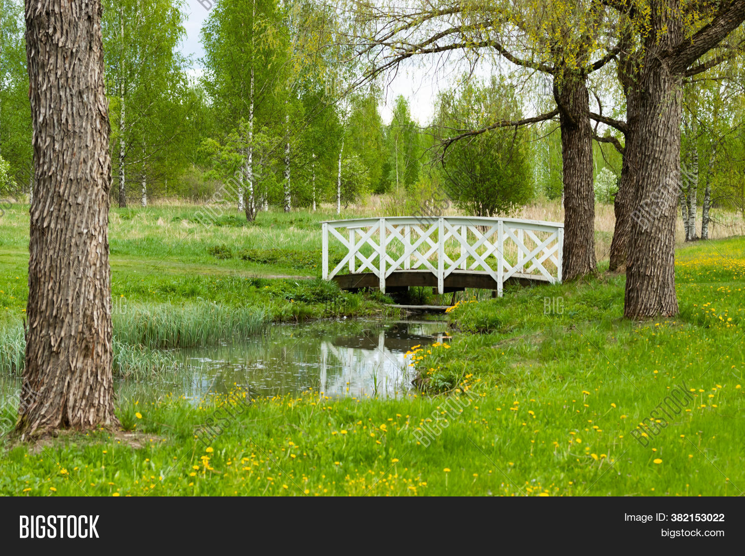Landscape Spring Pond Image & Photo (Free Trial) | Bigstock