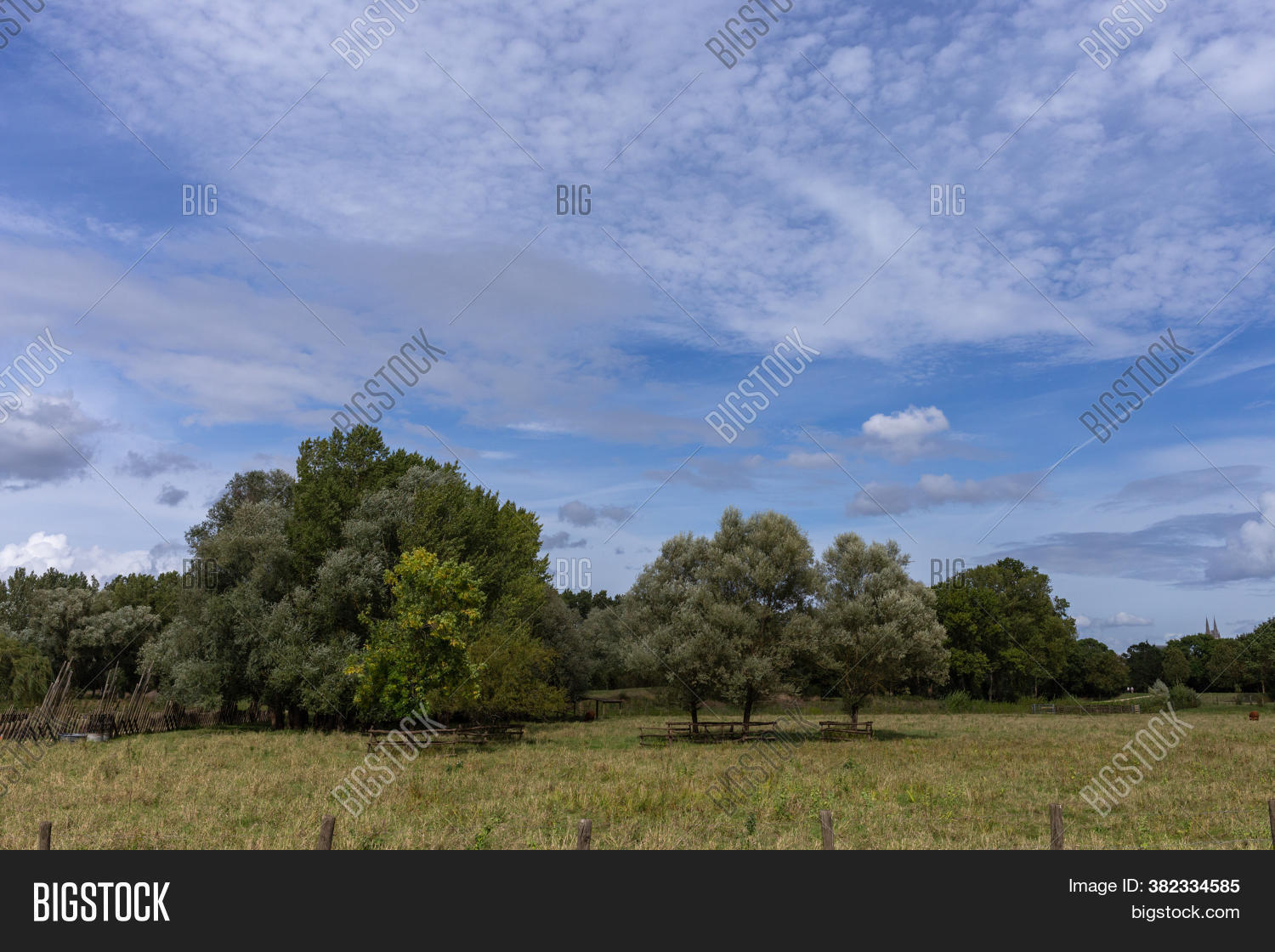 Summer Outdoor Image & Photo (Free Trial) | Bigstock