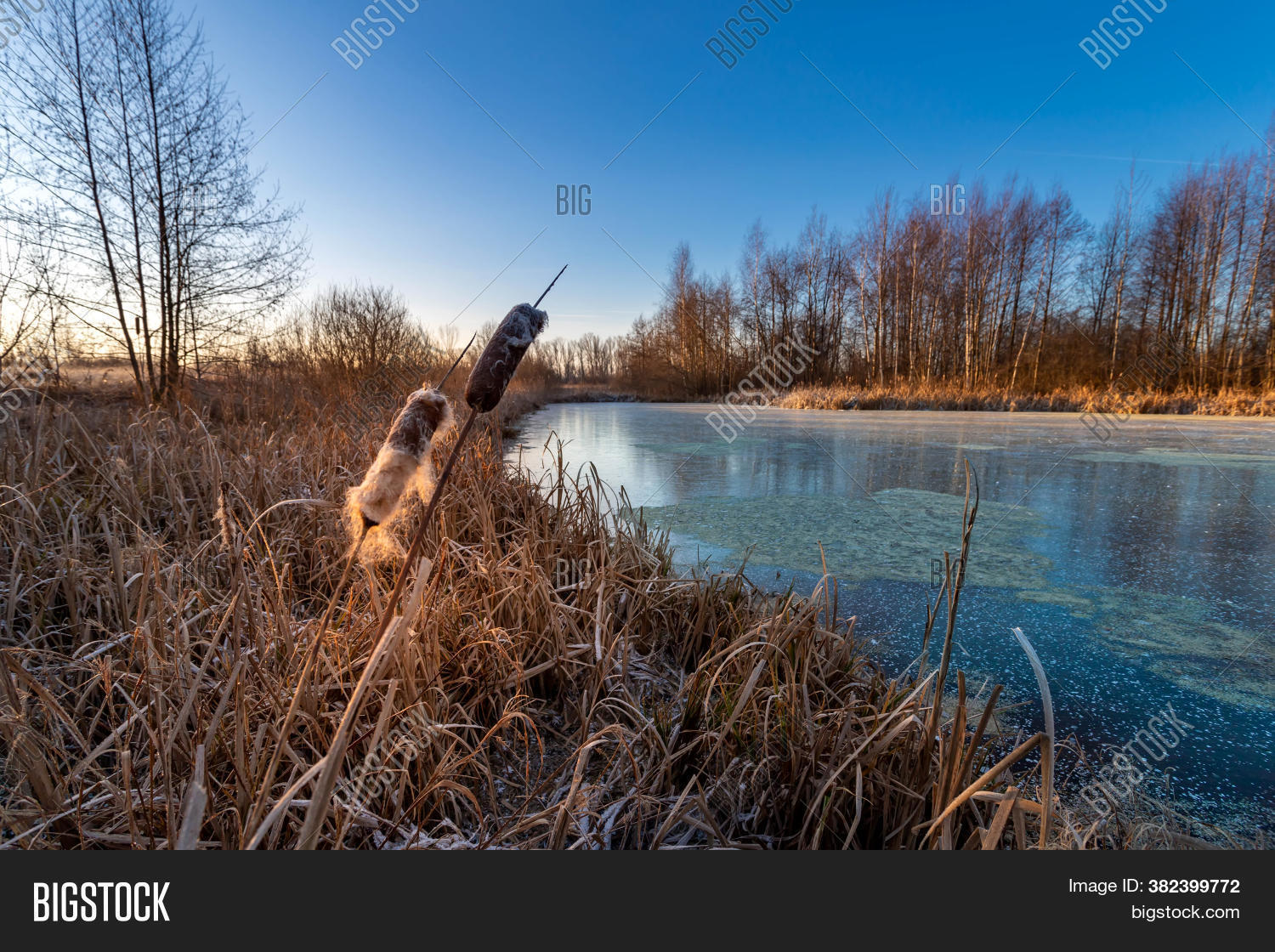 Cold Sunny Morning. Image & Photo (Free Trial) | Bigstock